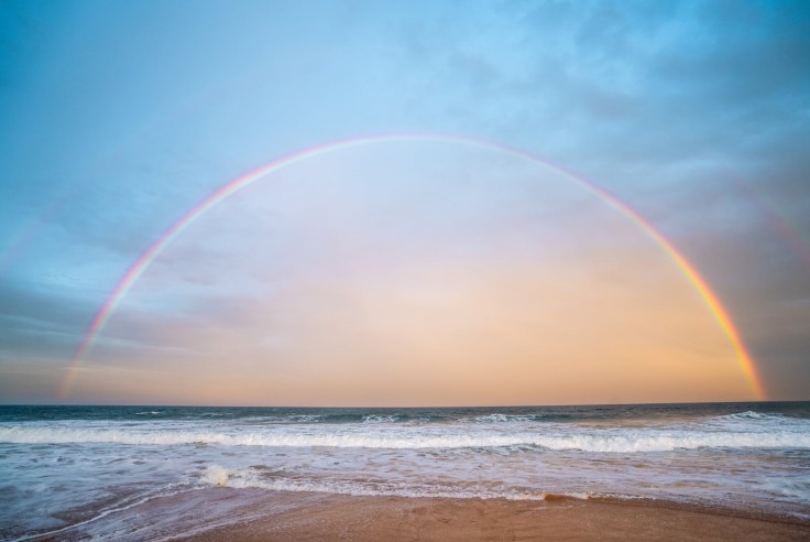 Psalm 135: Praying Through The Psalms – Conform to Jesus